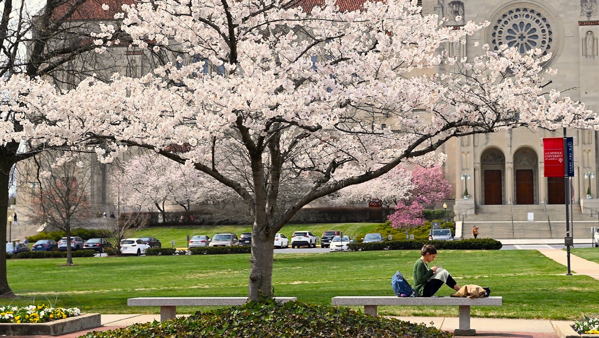 Mid-Semester Check-In: Helpful | The Catholic University Family Nest